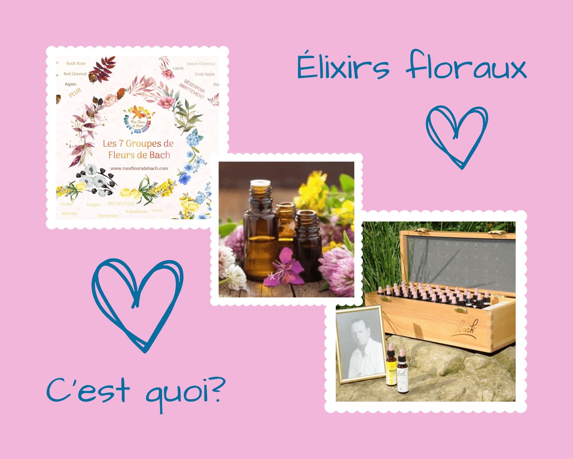 Elixir Floral Personnalisé - Natura4Pattes